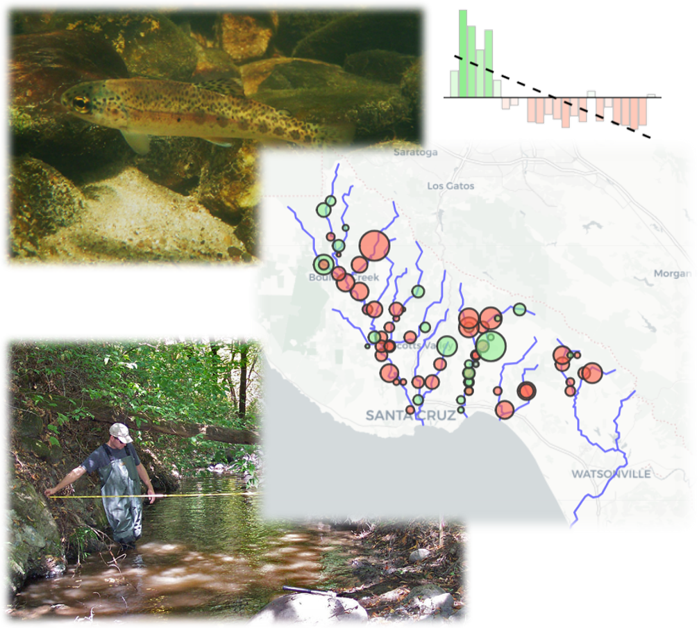 Juvenile Steelhead and Stream Habitat (JSSH) web